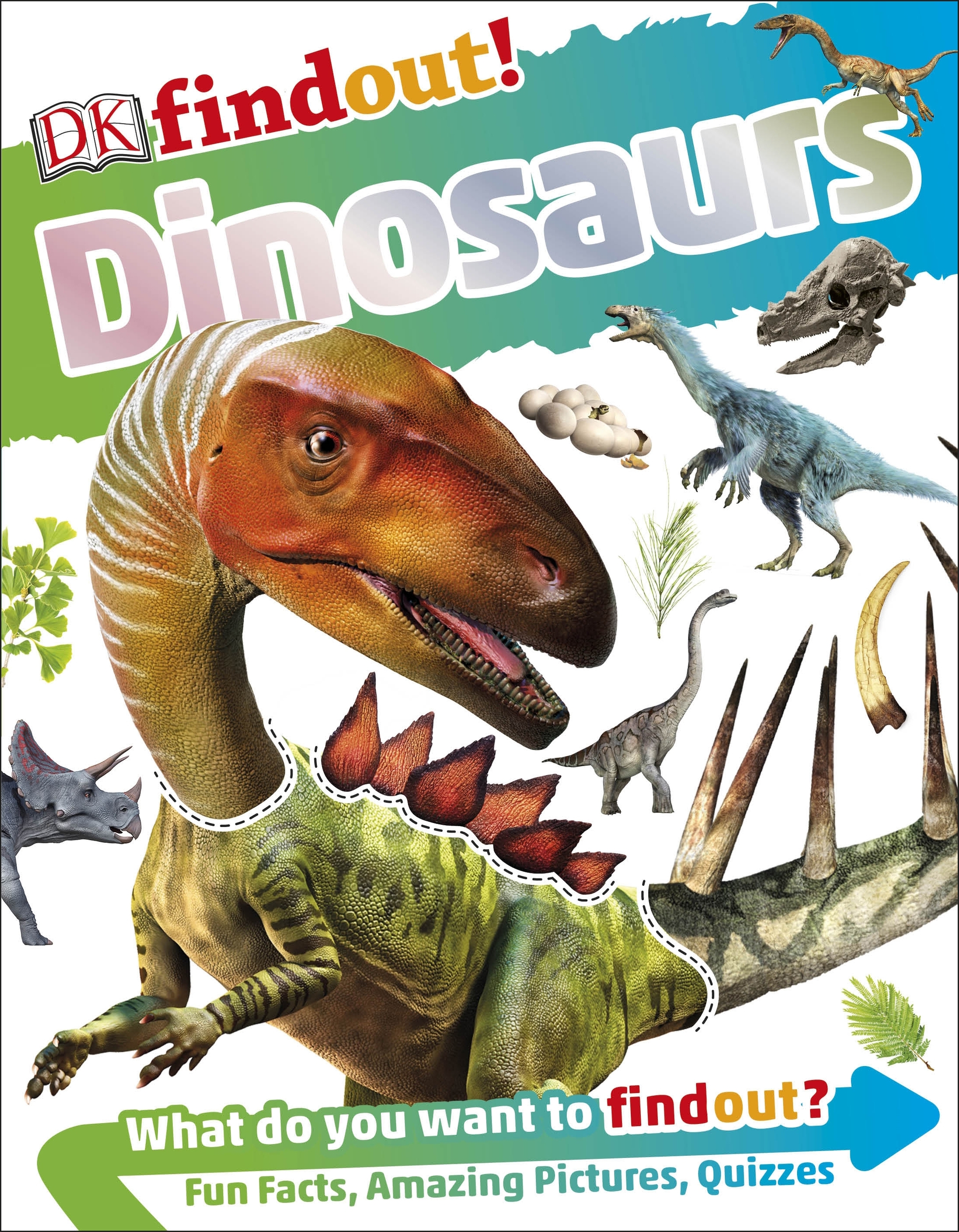 Dinosaurs: Findout! by DK | Penguin Random House South Africa